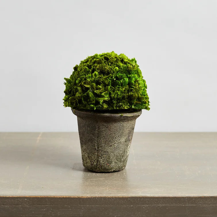 Faux Persevered Moss Pot – Words On Wood-Whitby